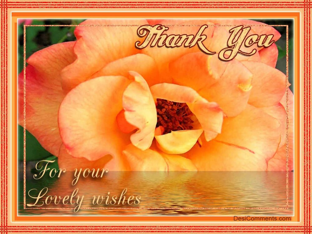 Thank You For Your Lovely Wishes DesiComments