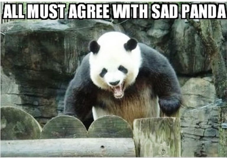 75 Mad Panda Memes - Funny Pictures – DesiComments.com