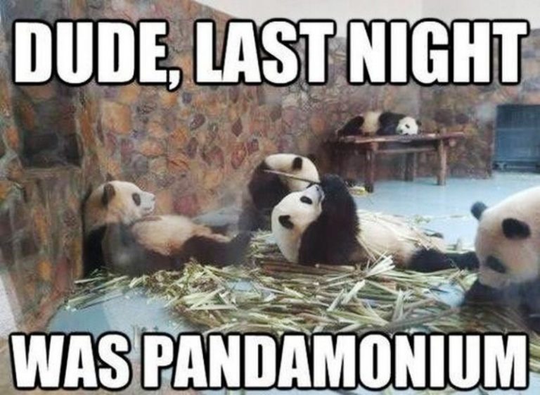 75 Mad Panda Memes - Funny Pictures – DesiComments.com