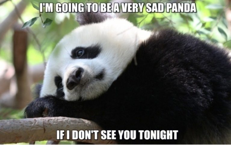 75 Mad Panda Memes - Funny Pictures – DesiComments.com