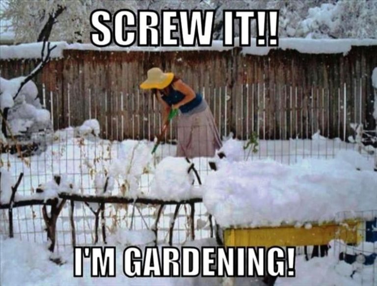 87 Windy Winter Memes - Funny Pictures – DesiComments.com