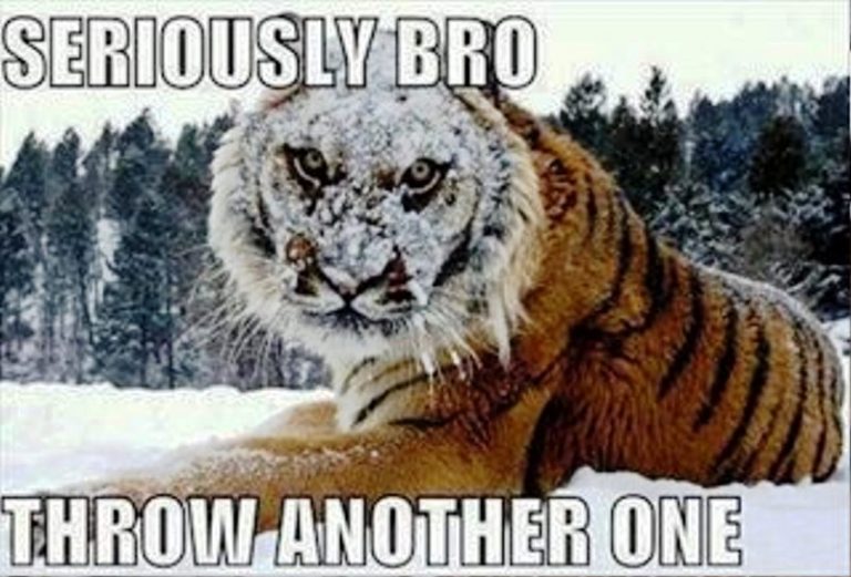 87 Windy Winter Memes - Funny Pictures – DesiComments.com