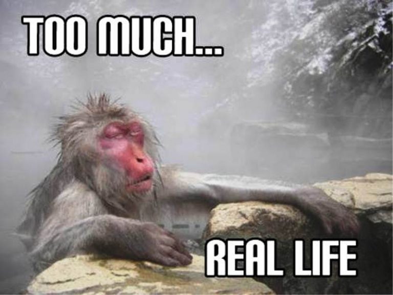 97 Best Life Memes For You - Funny Pictures – DesiComments.com