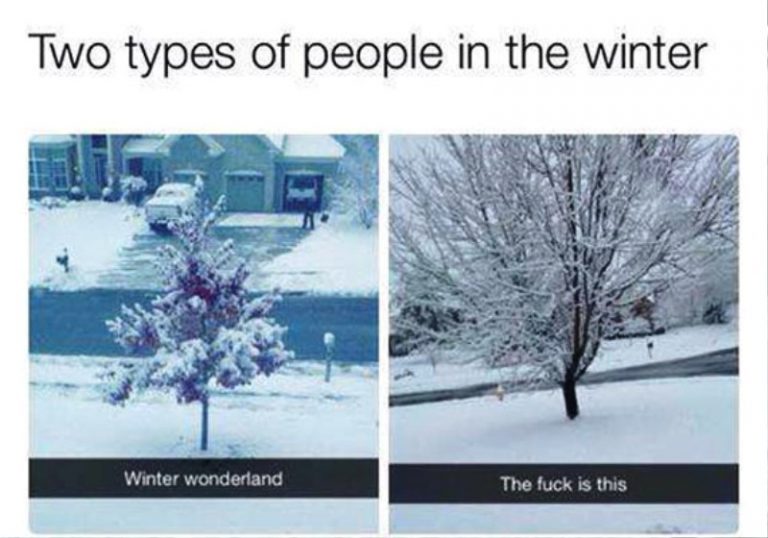 87 Windy Winter Memes - Funny Pictures – DesiComments.com