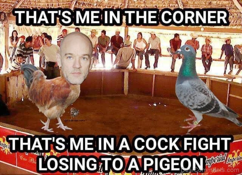 50 Brilliant Music Memes For You - Funny Pictures – DesiComments.com