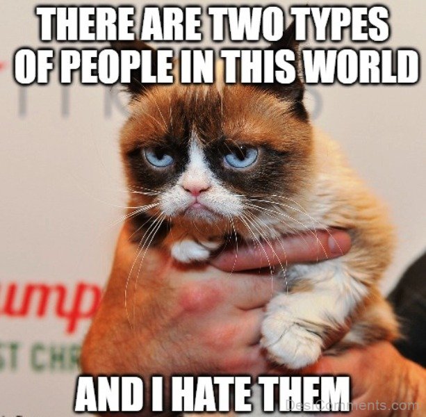 50 Most Funniest Grumpy Cat Memes - Funny Pictures – DesiComments.com
