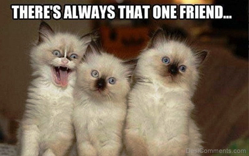 50 Freaky Awesome Friendship Memes - Funny Pictures – DesiComments.com