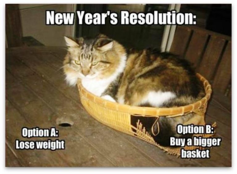 50 Fantastic New Year Memes - Funny Pictures – DesiComments.com