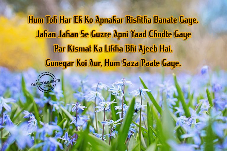 Hum Toh Har Ek Ko Apnakar | Hindi Shayari - DesiComments.com