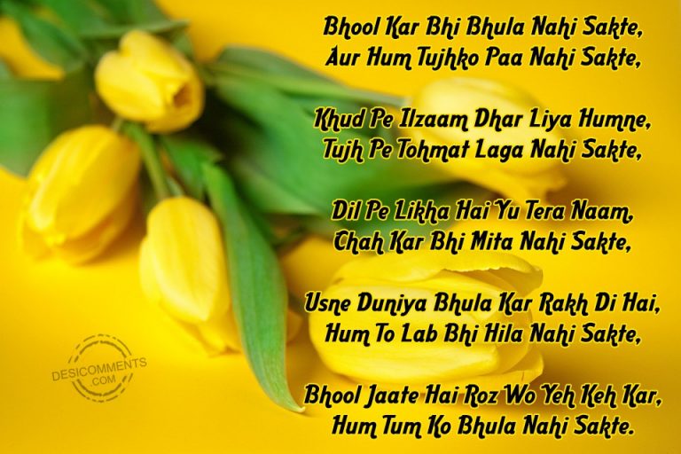 Bhool Kar Bhi Bhula Nahi Sakte | Hindi Shayari - DesiComments.com