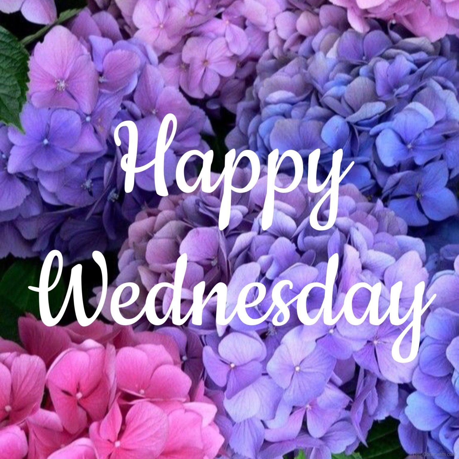 Floral Wednesday - DesiComments.com