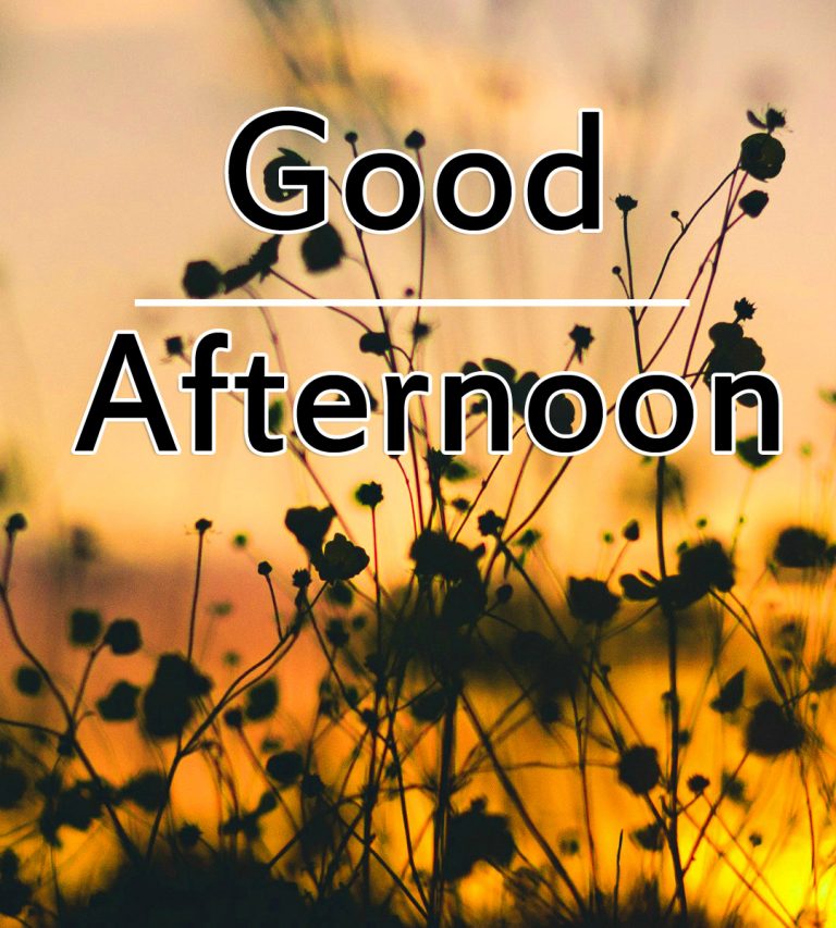 Good Afternoon Shadow Image - Desi Comments