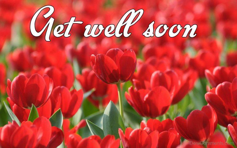 Get Well Soon With Red Roses - DesiComments.com