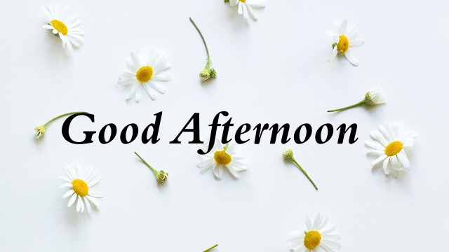 Good Afternoon With White Flowers - Desi Comments