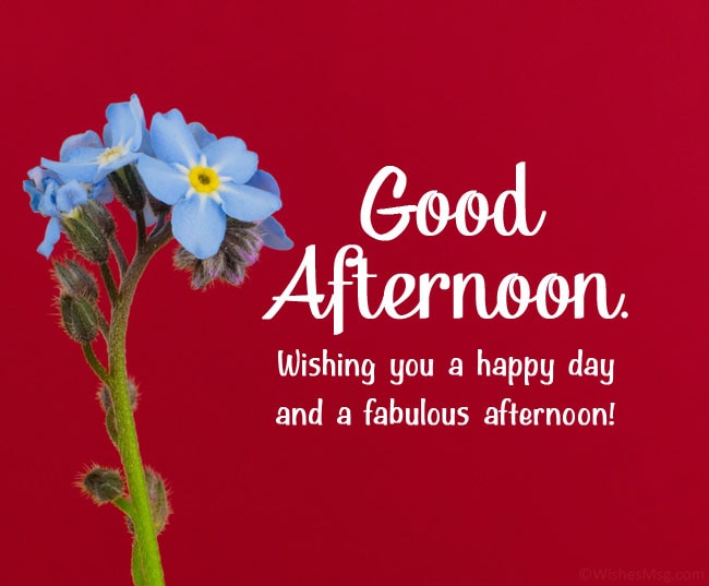 Good Afternoon Friendship Messages Good Afternoon Friendship Messages