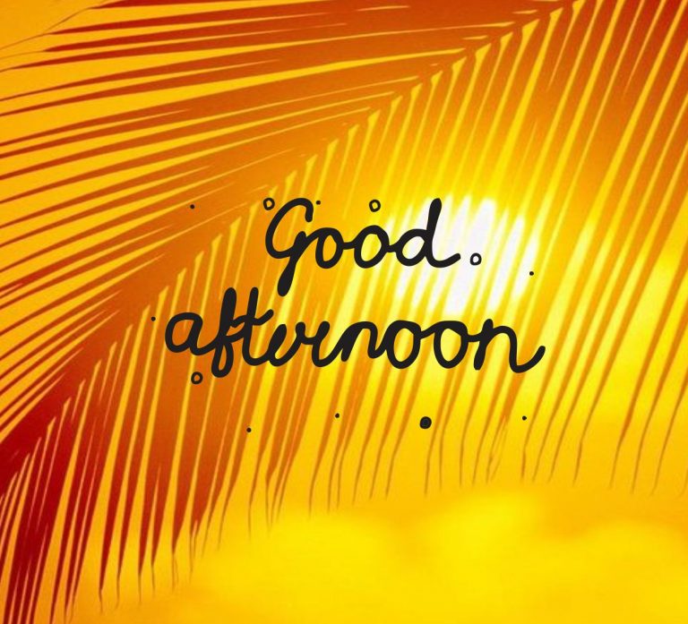 Good Afternoon Leaf Image - Desi Comments