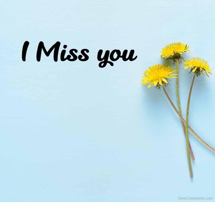 I Miss You With Yellow Flowers - DesiComments.com