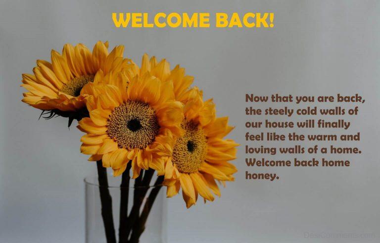 Welcome Back - DesiComments.com