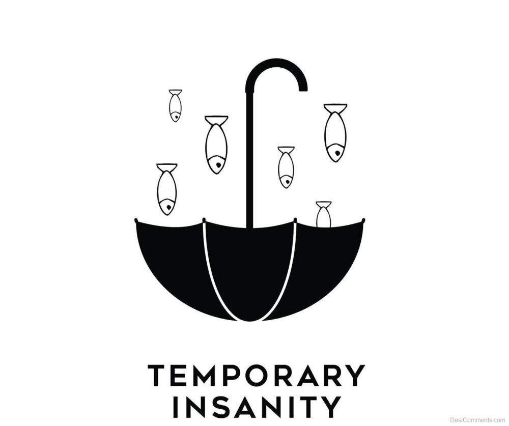 Temporary Insanity Image - Desi Comments