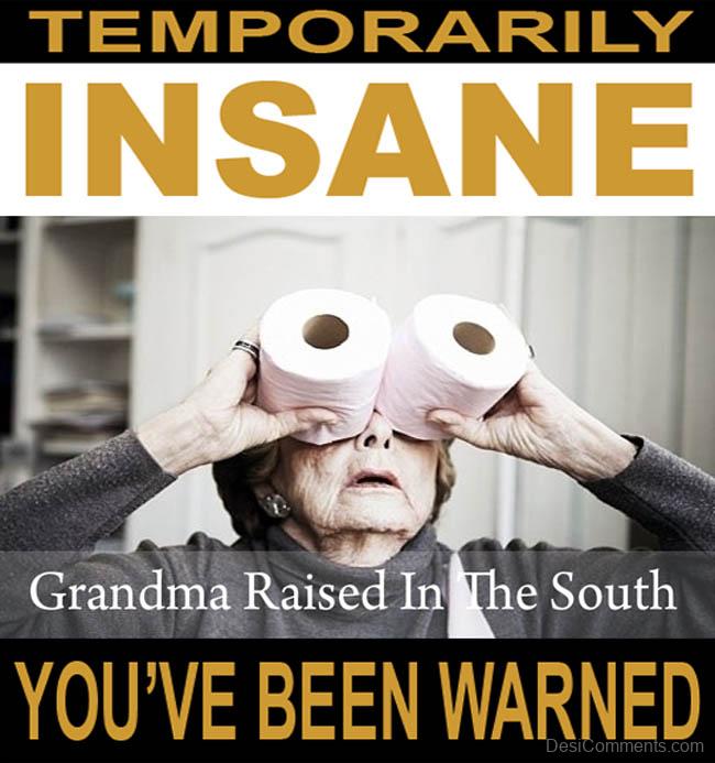 Temporarily Insane - DesiComments.com