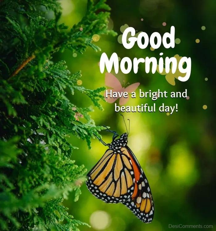 Have A Bright Day - DesiComments.com