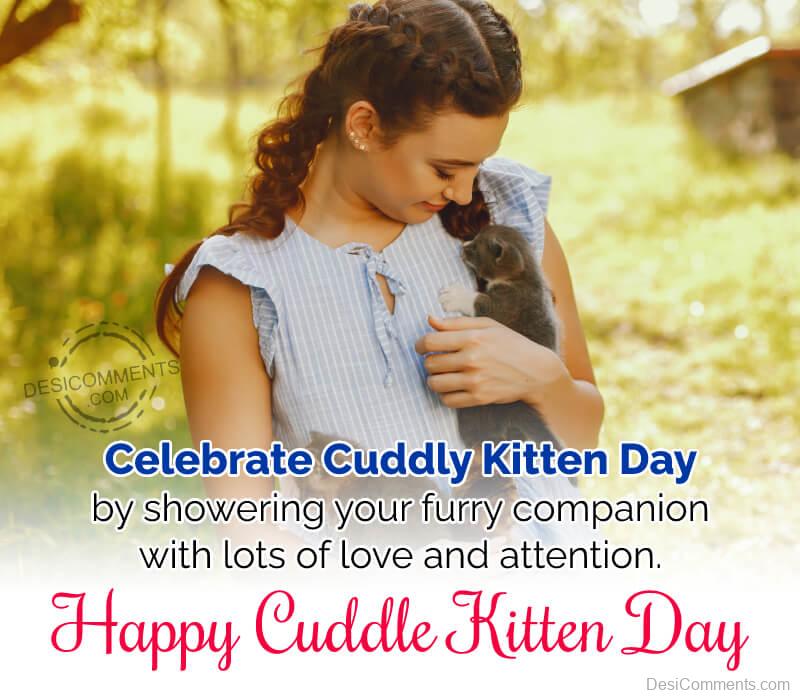 Celebrate Cuddly Kitten Day - Desi Comments